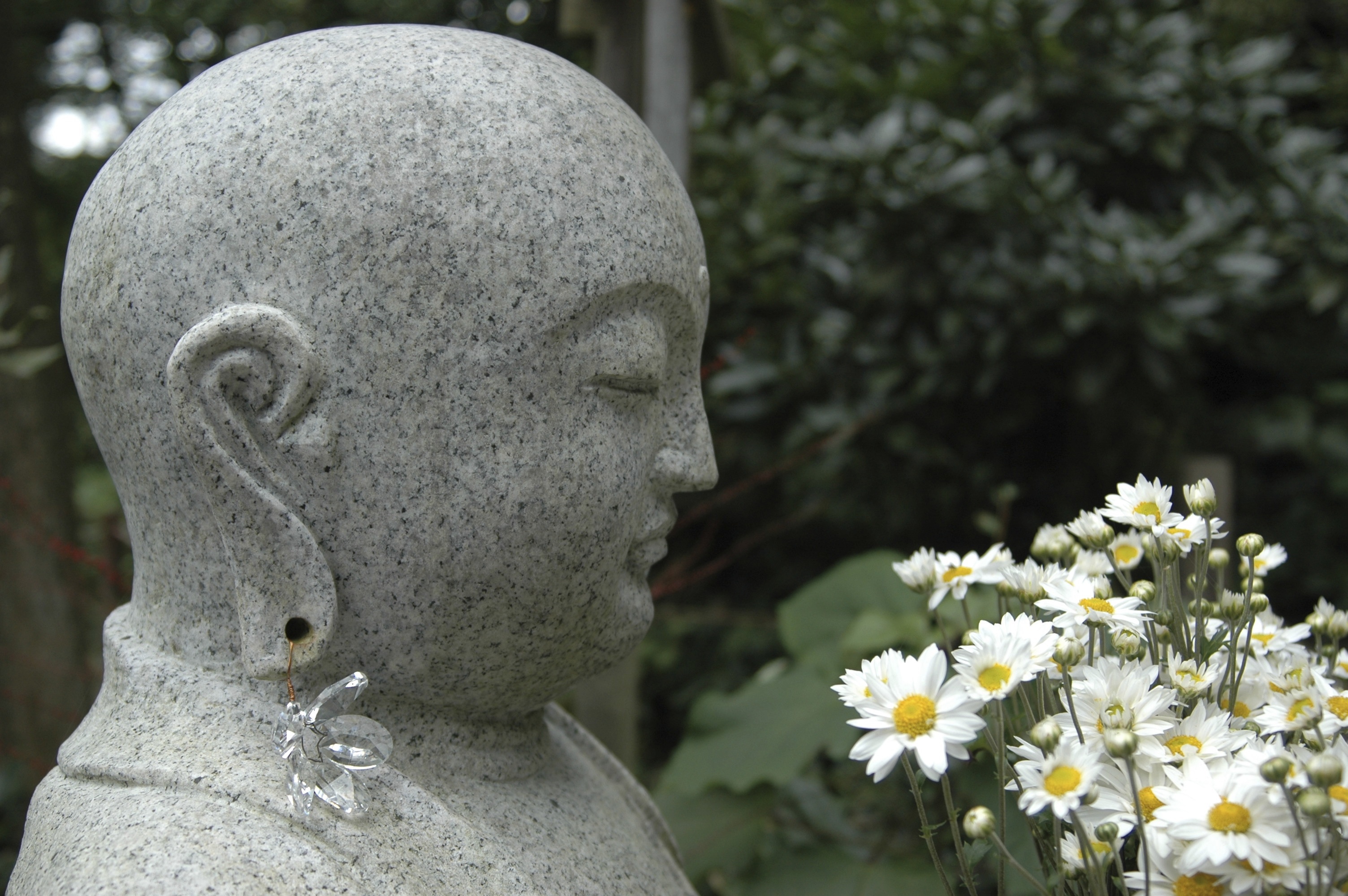 Observe, reflect, respond | Heroes Not Zombies