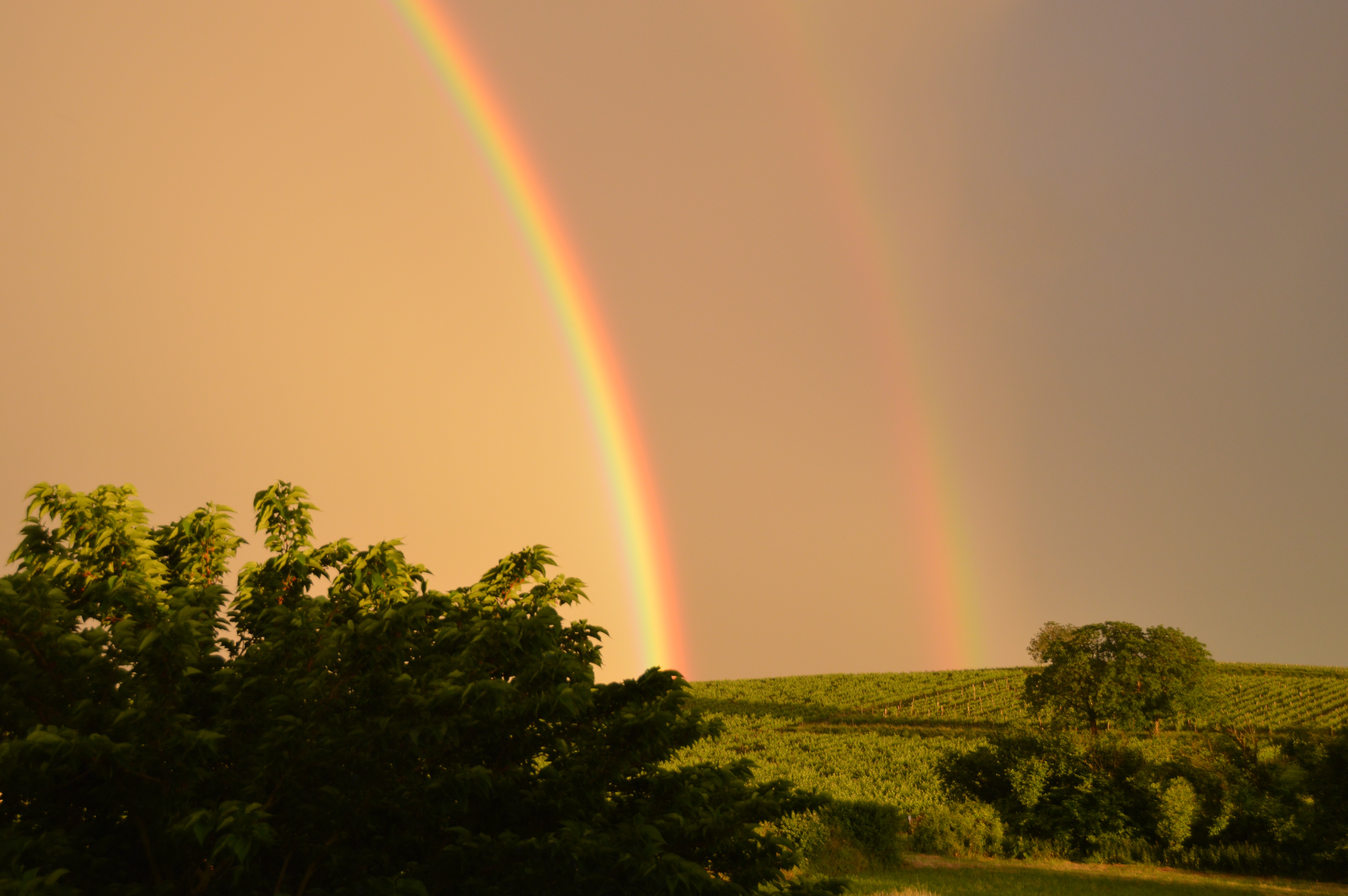The most amazing rainbow | Heroes Not Zombies