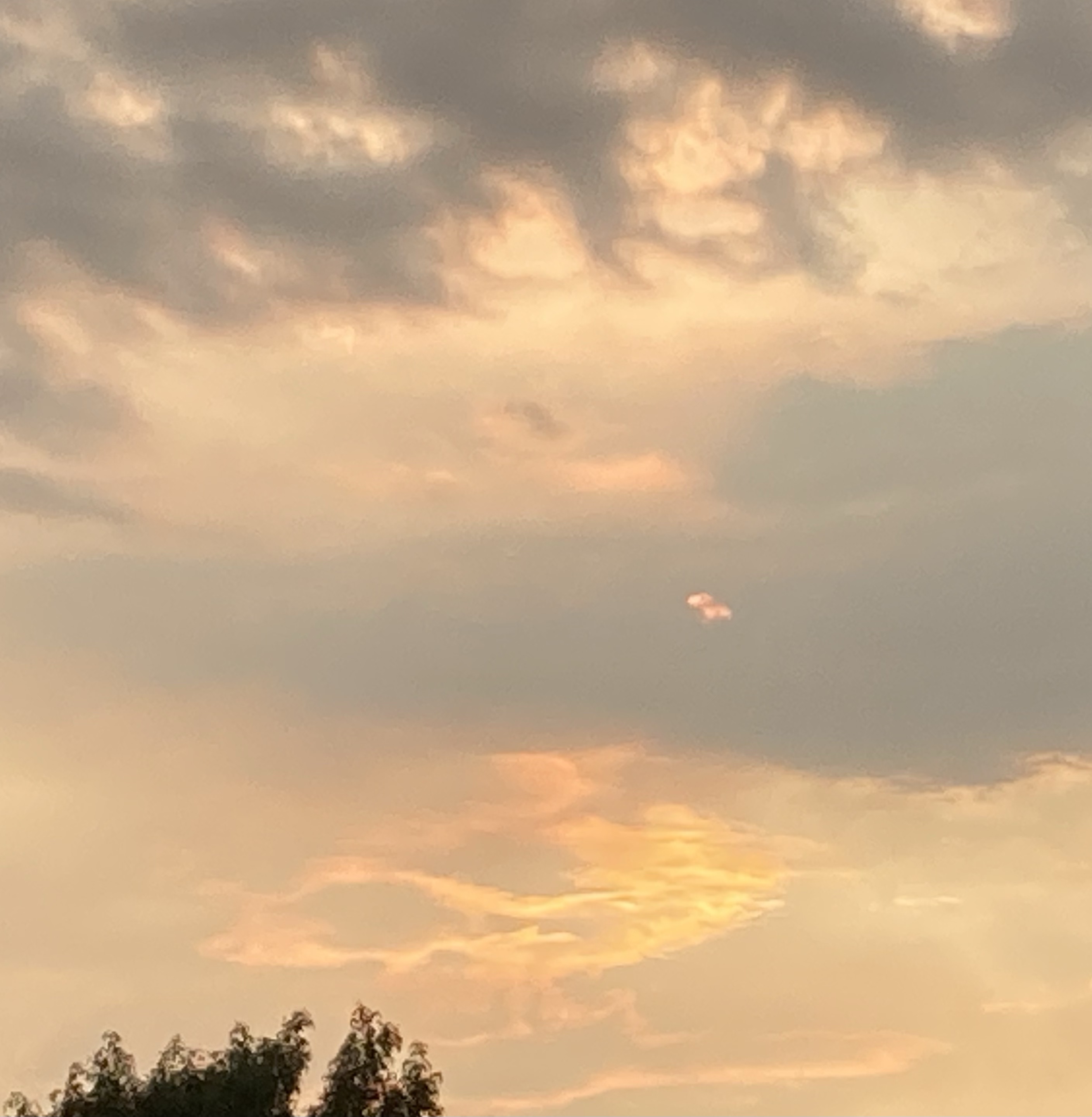 Wonder and empathy | Heroes Not Zombies