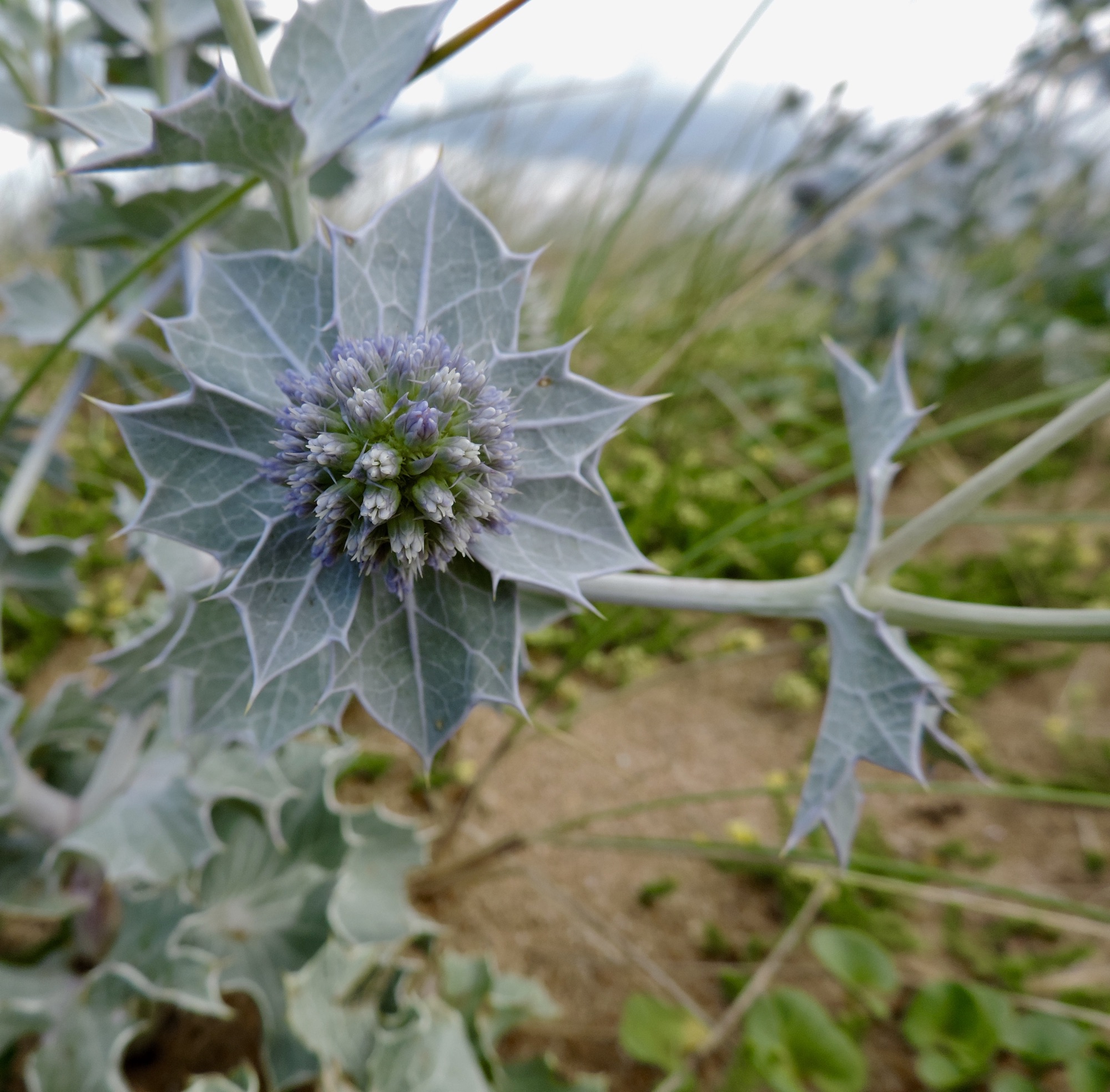 Attraction and repulsion | Heroes Not Zombies